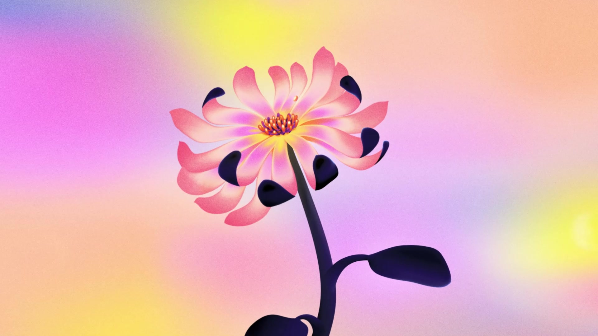Scholar | Bloom Foundation 'About Bloom'